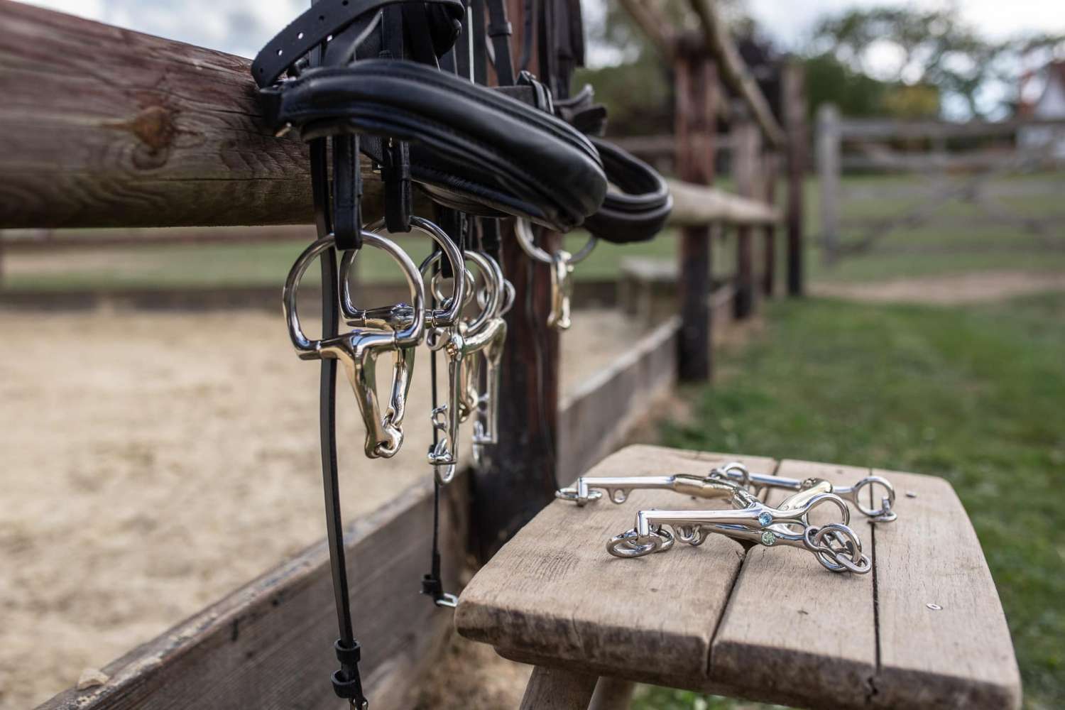 All about the different mouthpieces and what they do - HorseBitBank.com