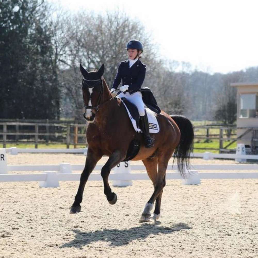 The latest bit rules for the 2023 competition season - HorseBitBank.com