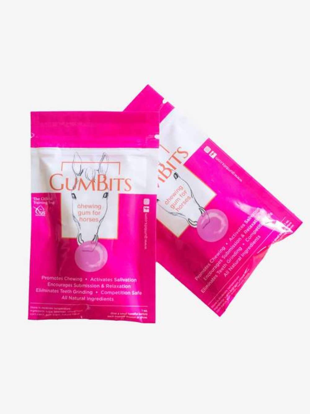 GUMBITS 340gram pack