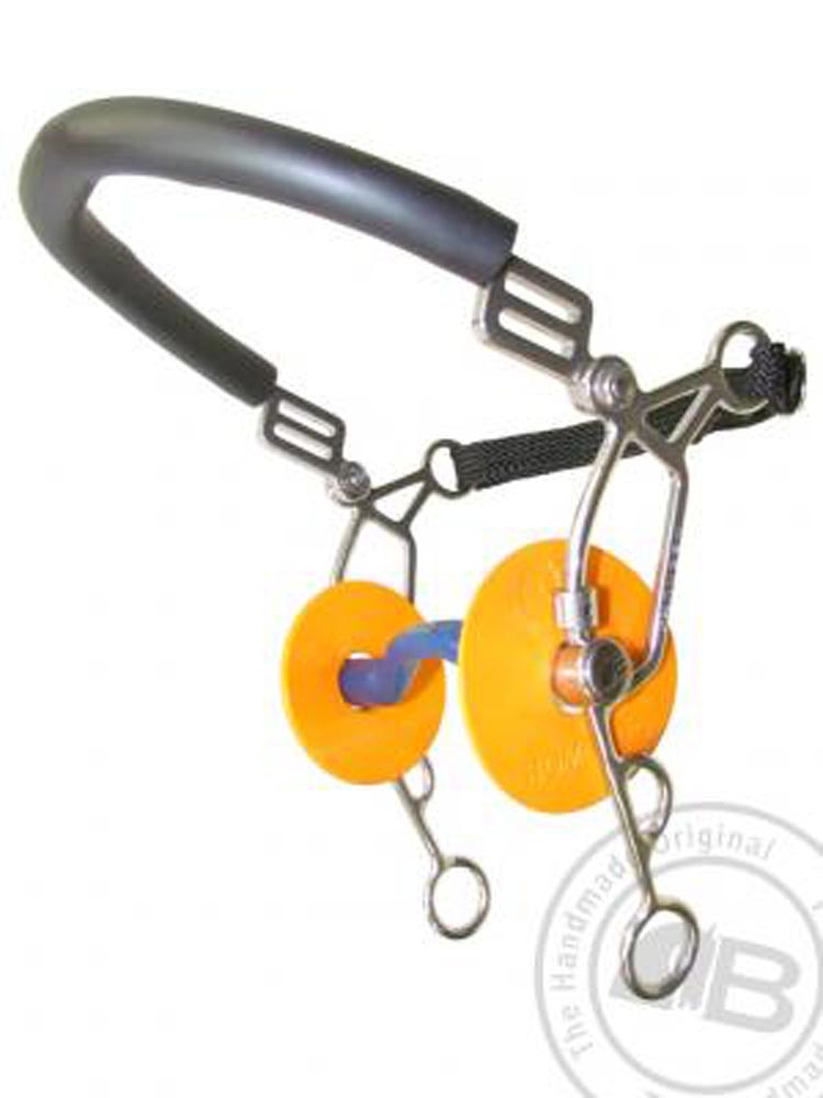 BBBBH Bombers Blue Hybrid