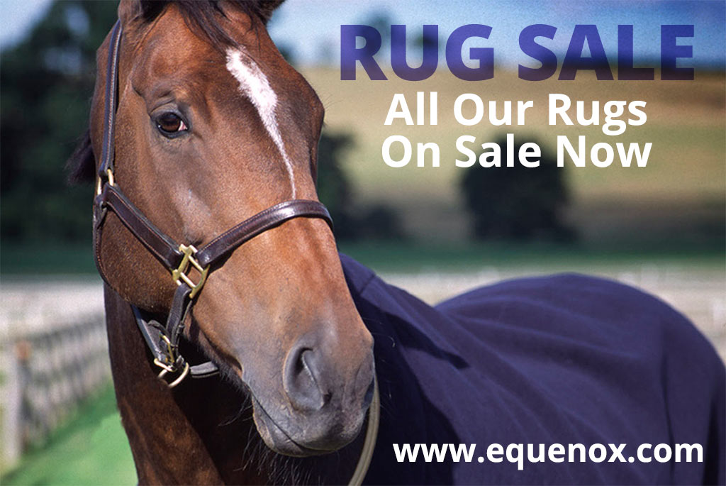 Horse bits, Neue Schule bits, Myler bits, Sprenger bits, Abbey bits ...